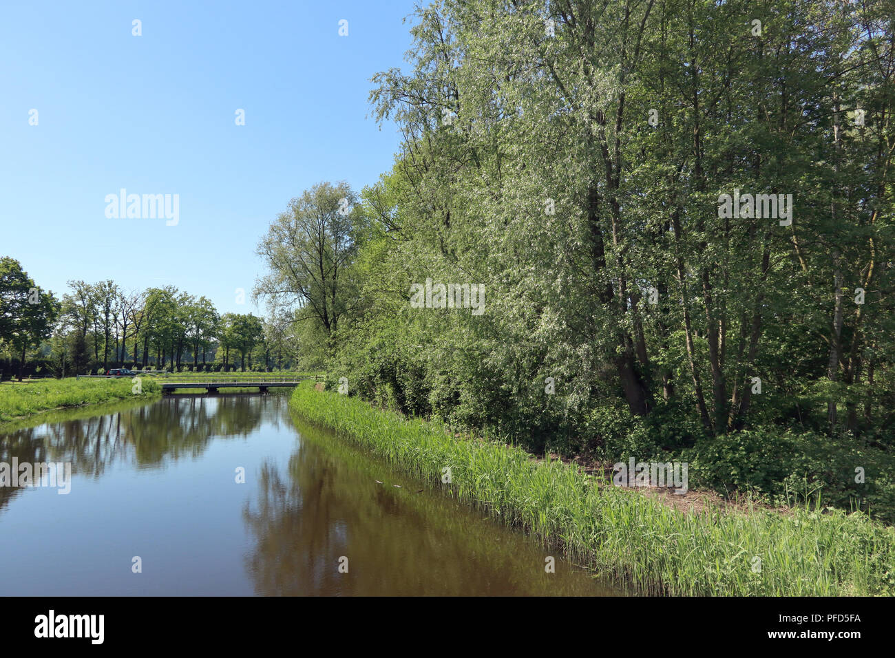 landscape with trees and river Stock Photo - Alamy