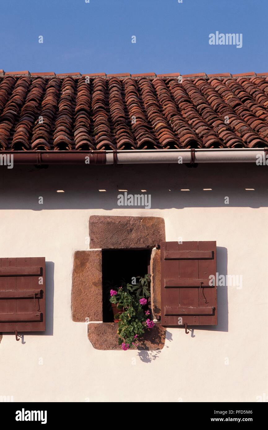 Spain, Navarra (Navarre), window box on sill of traditional house with ...