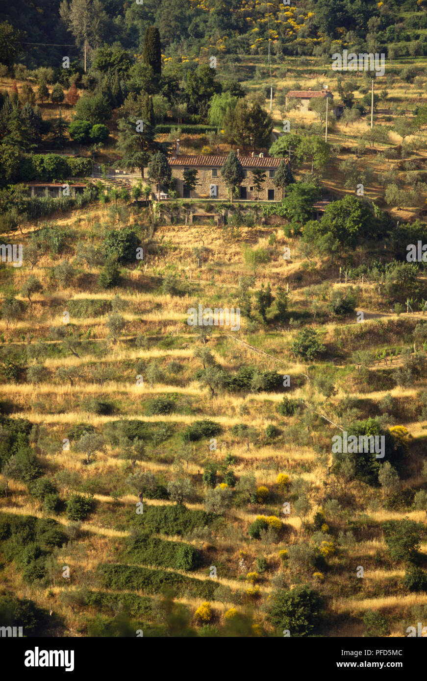 Terracing Italy High Resolution Stock Photography and Images - Alamy