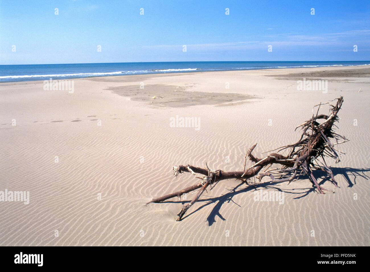 Empty sandy beach sea hi-res stock photography and images - Alamy
