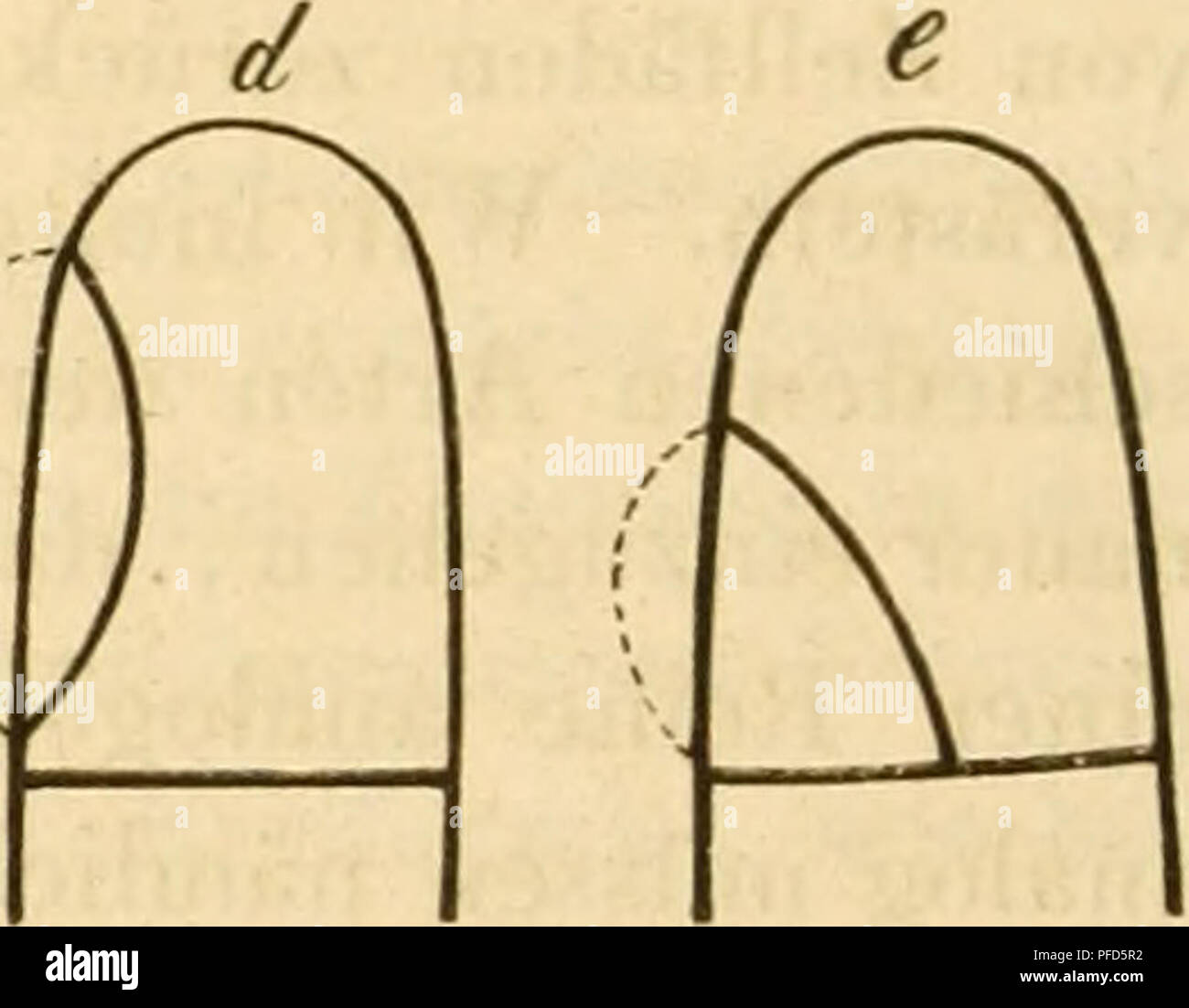 This work discusses the theory and applications of microscopes ...