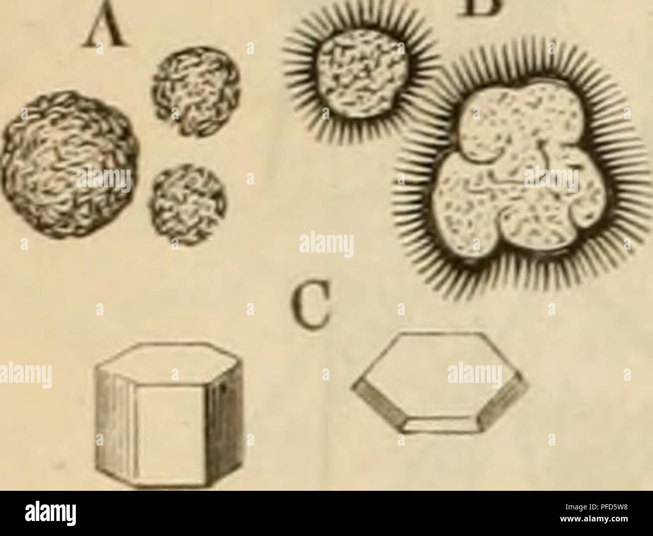 This image shows the history, theory, and modern use of microscopes ...