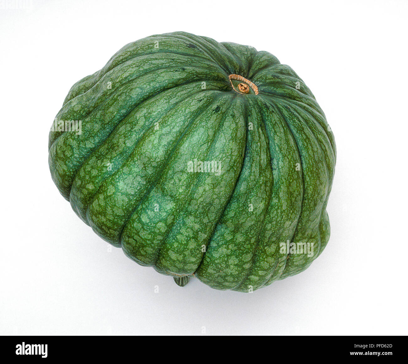 Queensland blue pumpkin hi-res stock photography and images - Alamy