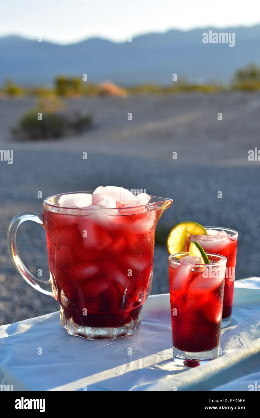 red colorful hibiscus flower iced tea cold drink in glasses and pitcher ...