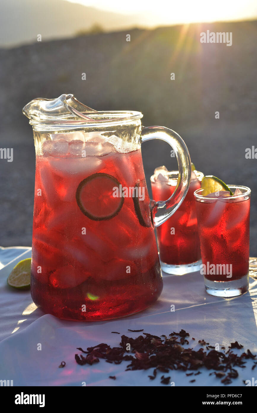 red colorful hibiscus flower iced tea cold drink in glasses and pitcher ...