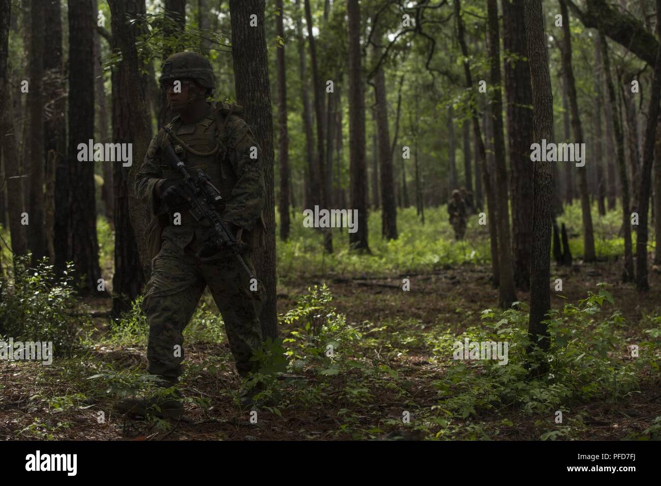 Yat yas hi-res stock photography and images - Alamy
