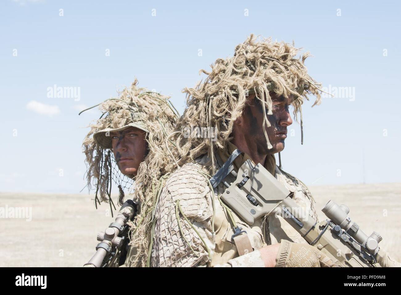 A Scout Sniper With Scout Sniper Platoon High Resolution Stock ...