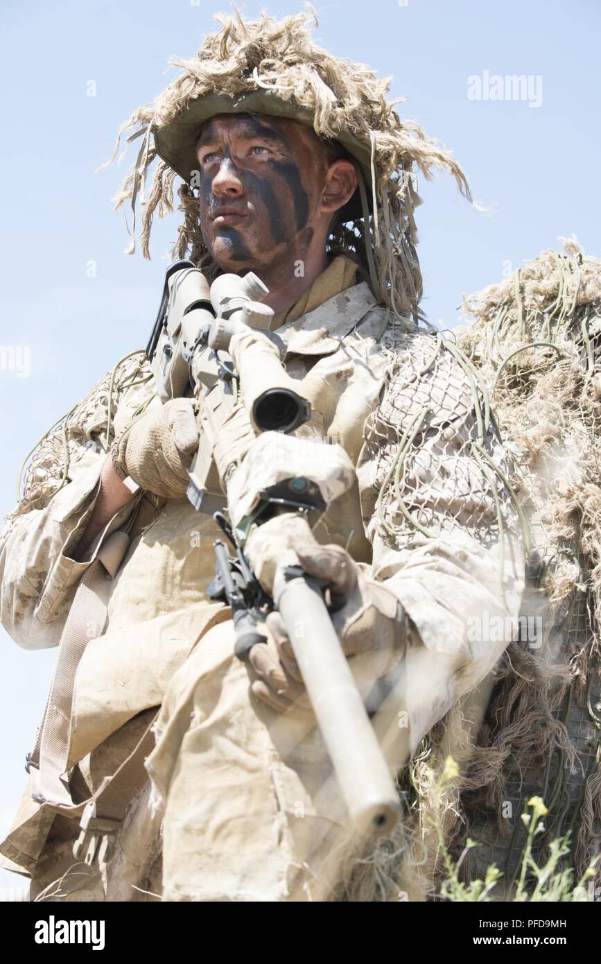 Reconnaissance and sniper platoon hi-res stock photography and images ...