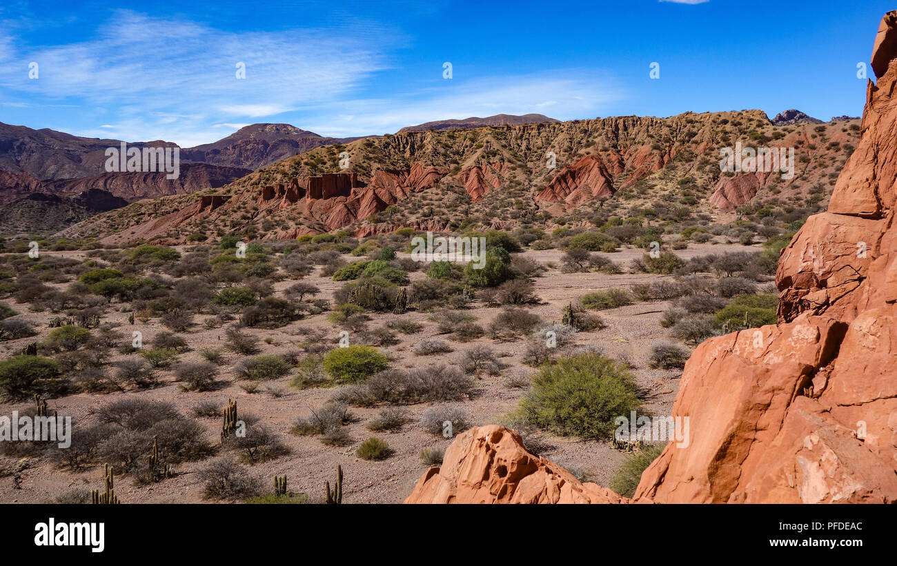 Stunning desert landscapes in the Canyon del Inca & Quebrada Palmira ...