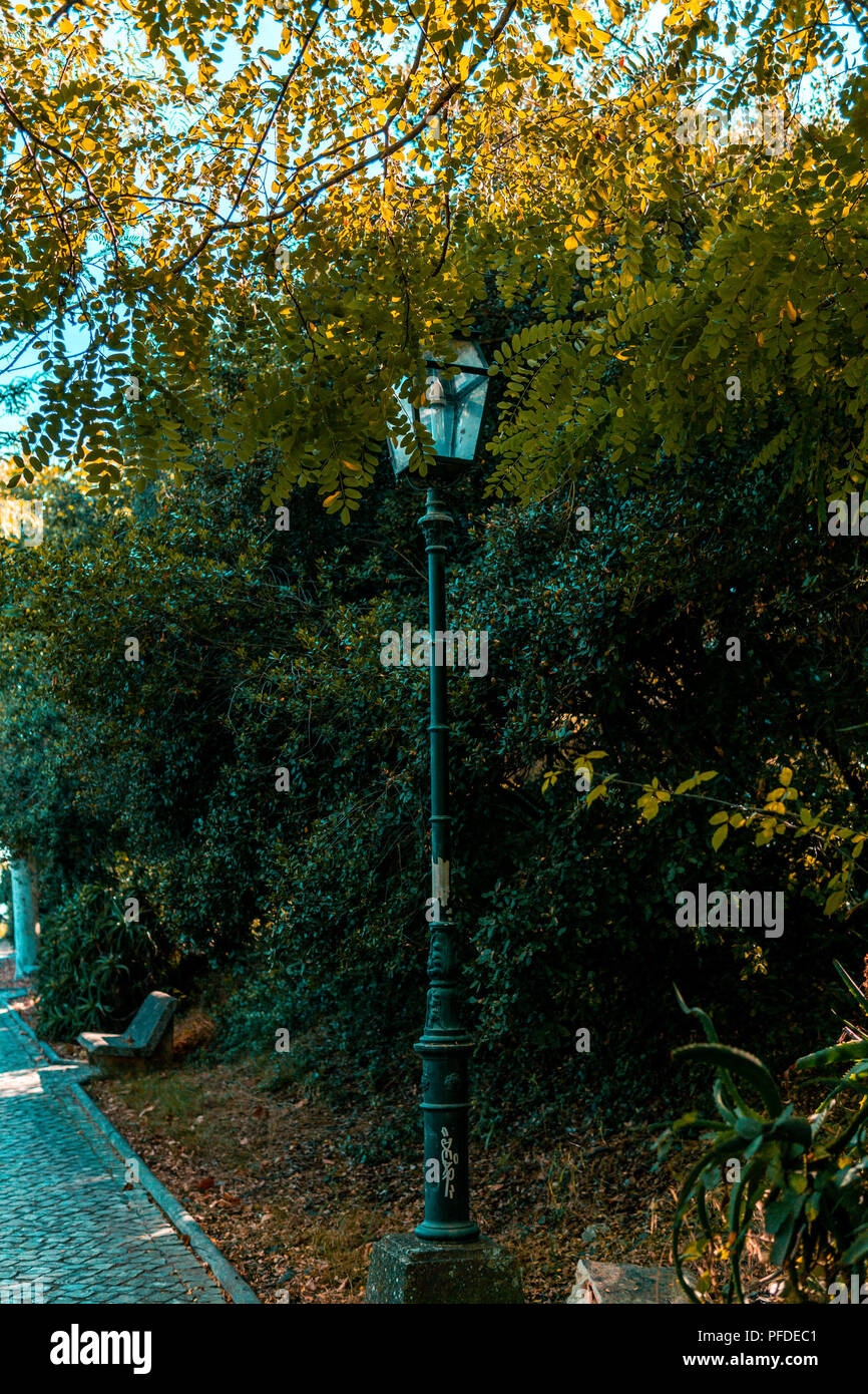 Autumn lamp post Stock Photo - Alamy