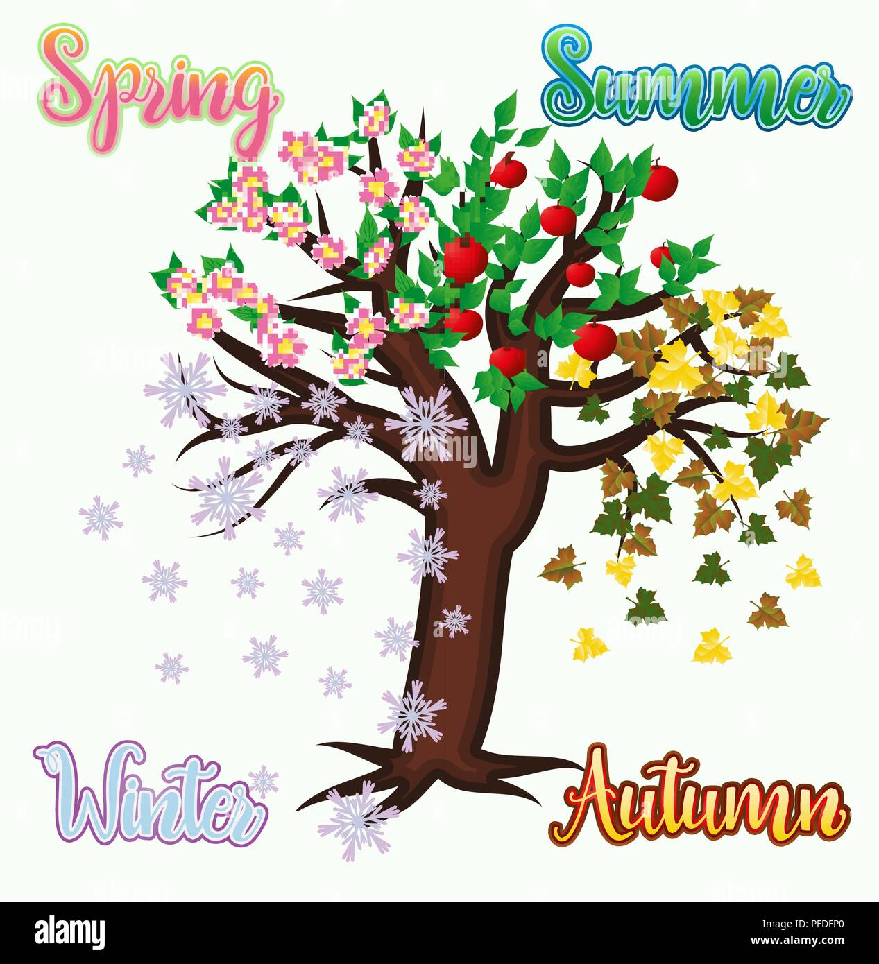 Four seasons tree, vector illustration Stock Vector Image & Art - Alamy