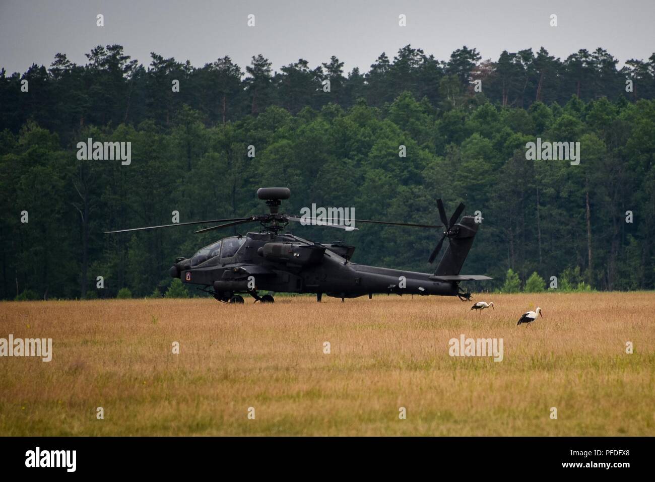 Two storks stalk between AH-64 Apache helicopters assigned to Task ...