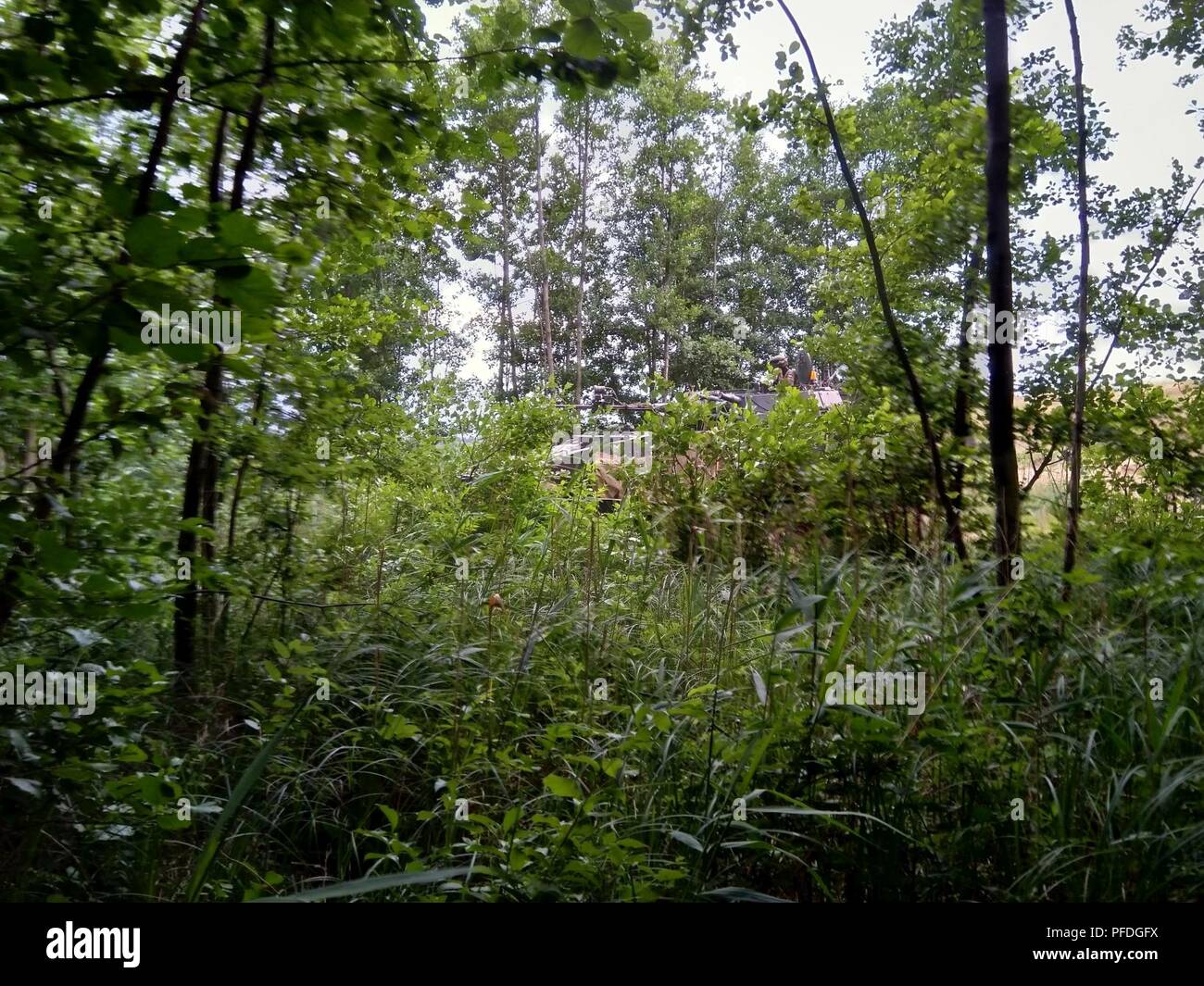 A Polish "Wolverine" Armored Personnel Carrier from the 12th Mechanized ...