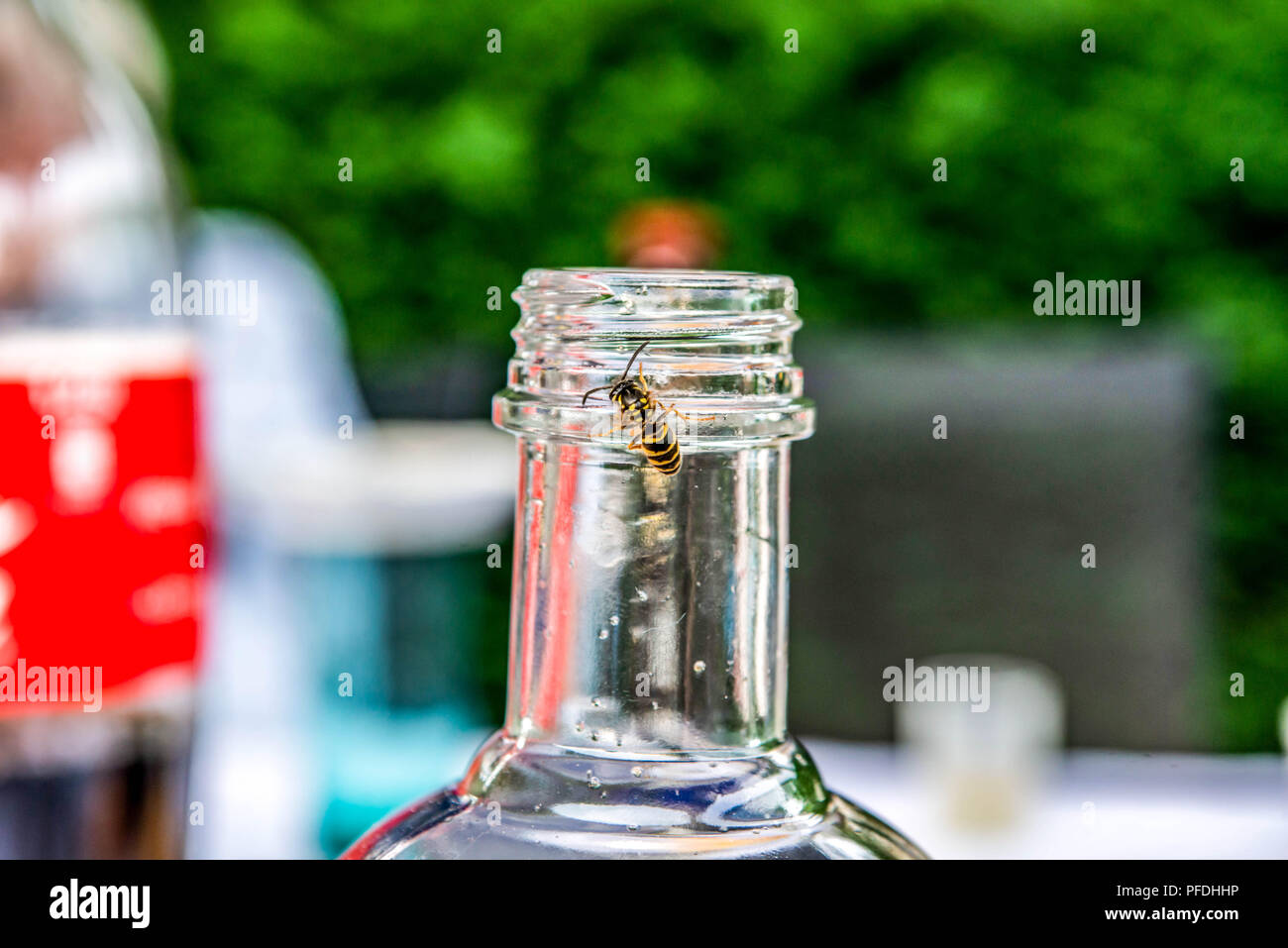 Wasp empty hi-res stock photography and images - Alamy