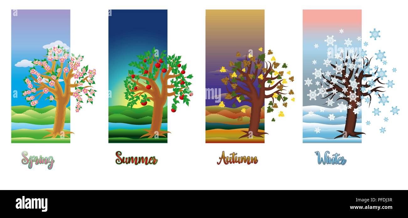 Four seasons cards, vector illustration Stock Vector Image & Art - Alamy