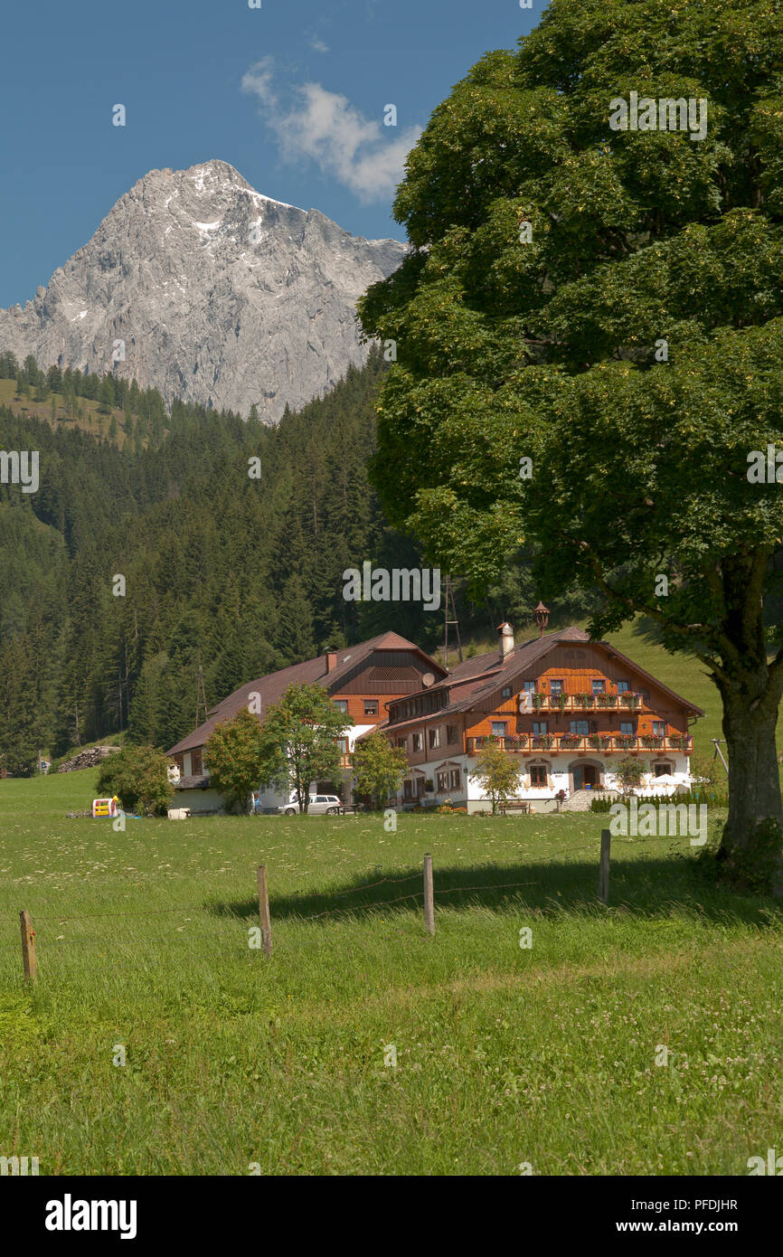 Alpine style house at foot of mountain in Austria in summer Stock Photo ...