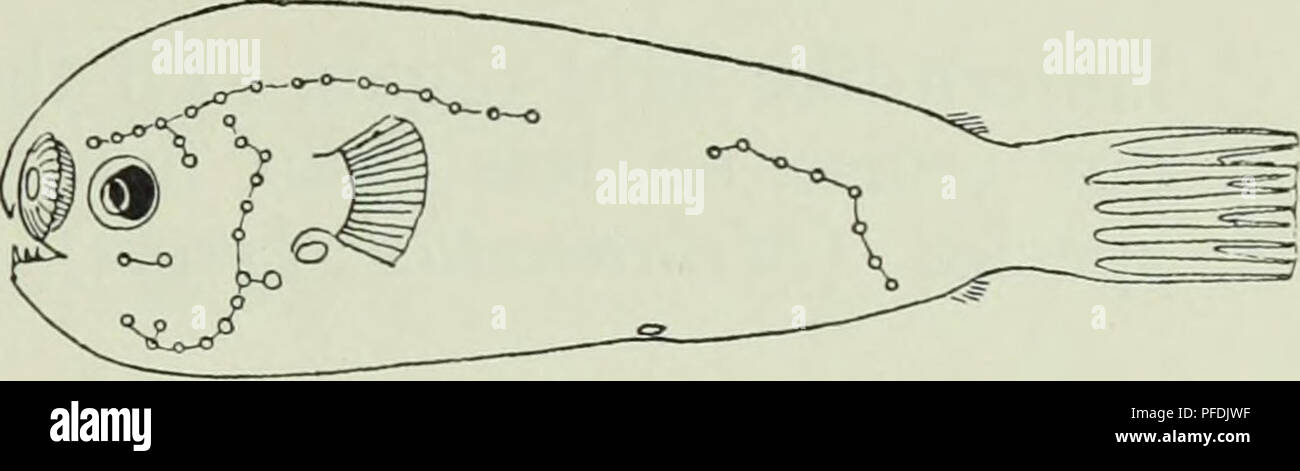A detailed study of oceanography based on the research conducted aboard ...