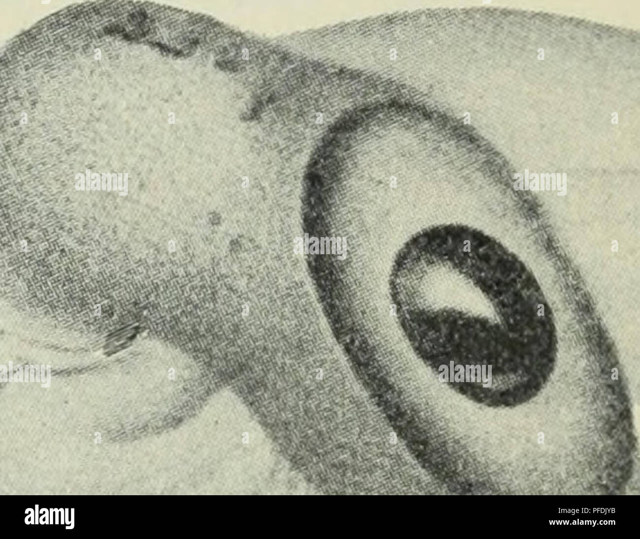 This book explores the modern science of oceanography, focusing on ...