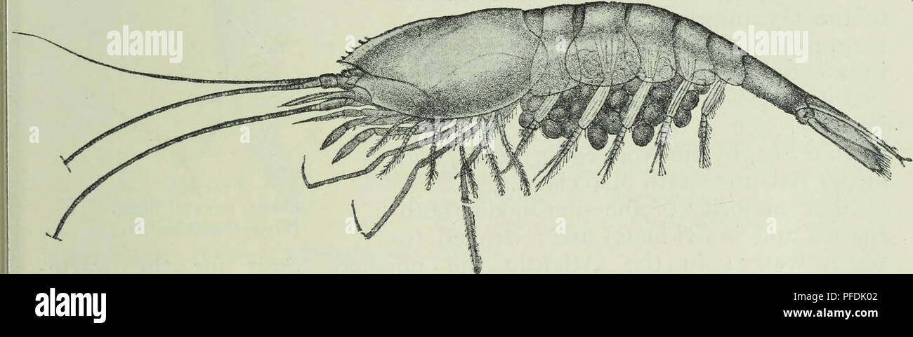 This page from *The Depths of the Ocean* outlines findings from the ...