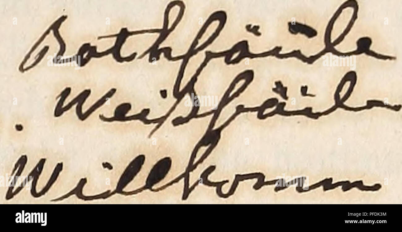 This book discusses the physiology of trees, focusing on their ...