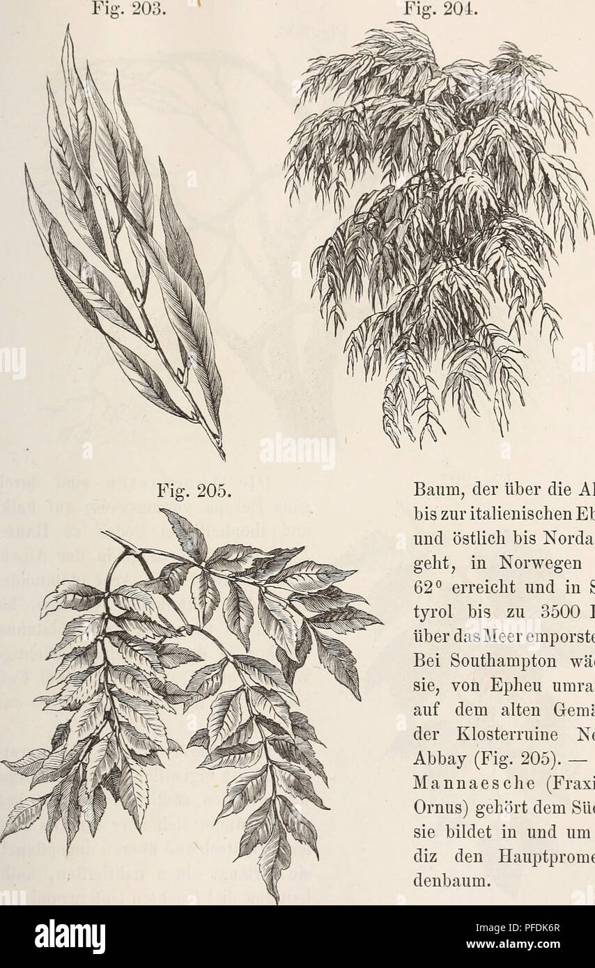 Steinigen hi-res stock photography and images - Alamy