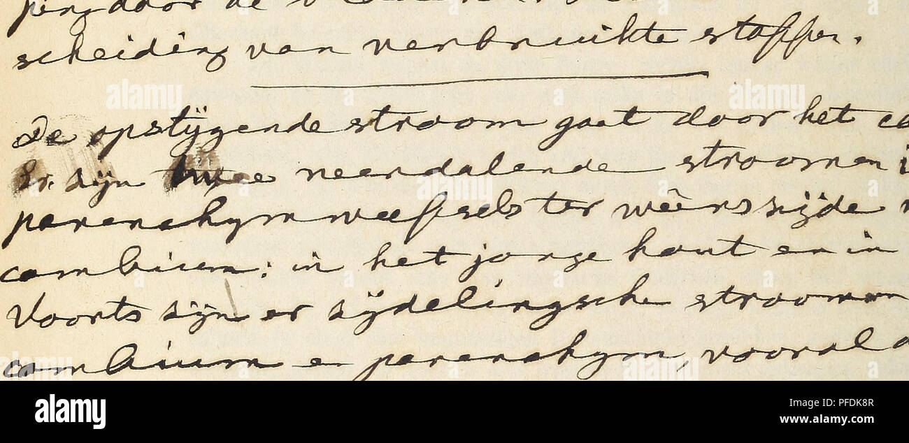 This book focuses on the study of trees, exploring their physiology ...