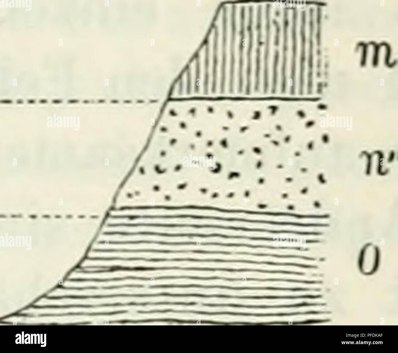 This work provides a guide for travelers and researchers, detailing how ...