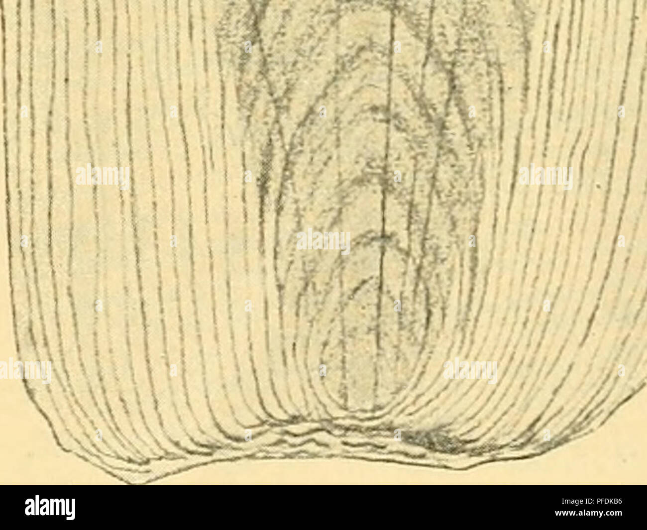 52 41 cm hi-res stock photography and images - Alamy