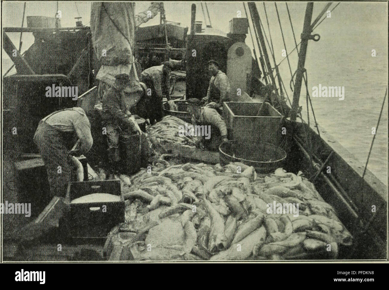 100 fathoms hi-res stock photography and images - Alamy