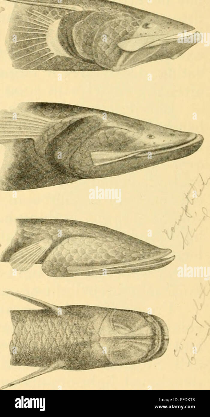 This work focuses on oceanography, drawing on the findings of the ...