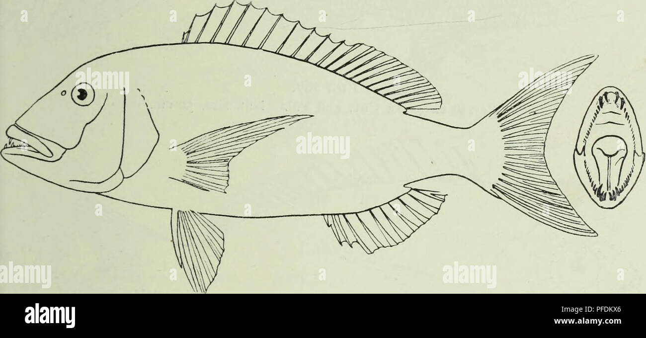 This work focuses on modern oceanography, detailing scientific research ...