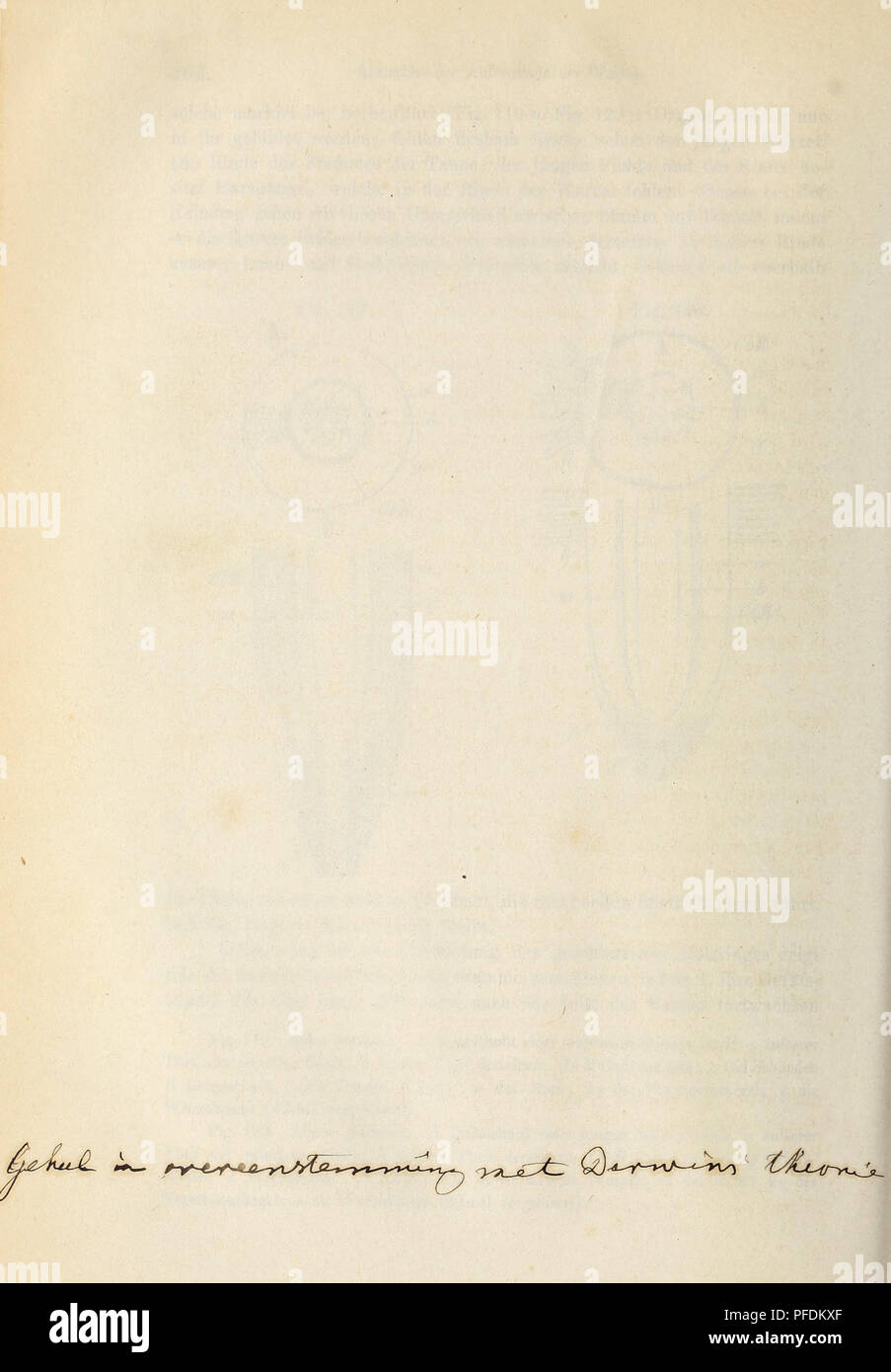 Hermann Schacht’s work on trees, published in Berlin, delves into plant ...