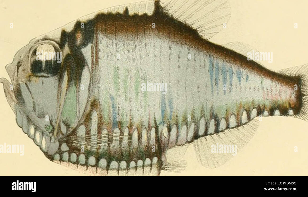 This image documents the scientific research conducted during the ...