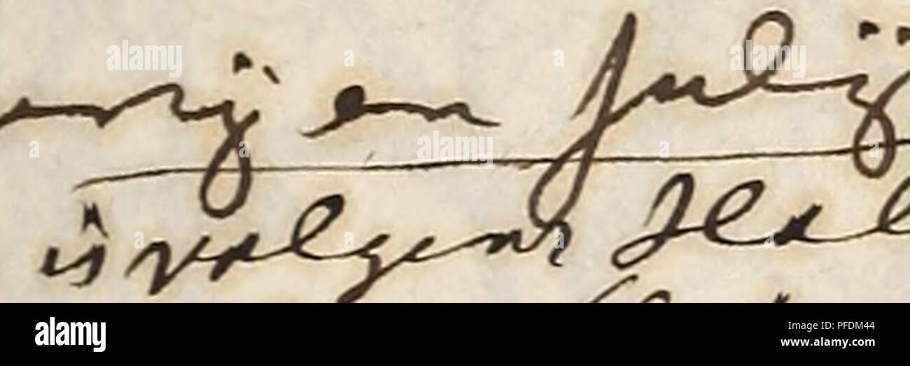 This work focuses on the biology and physiology of trees, detailing ...