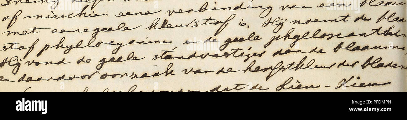 A detailed study on trees and plant physiology, examining the structure ...