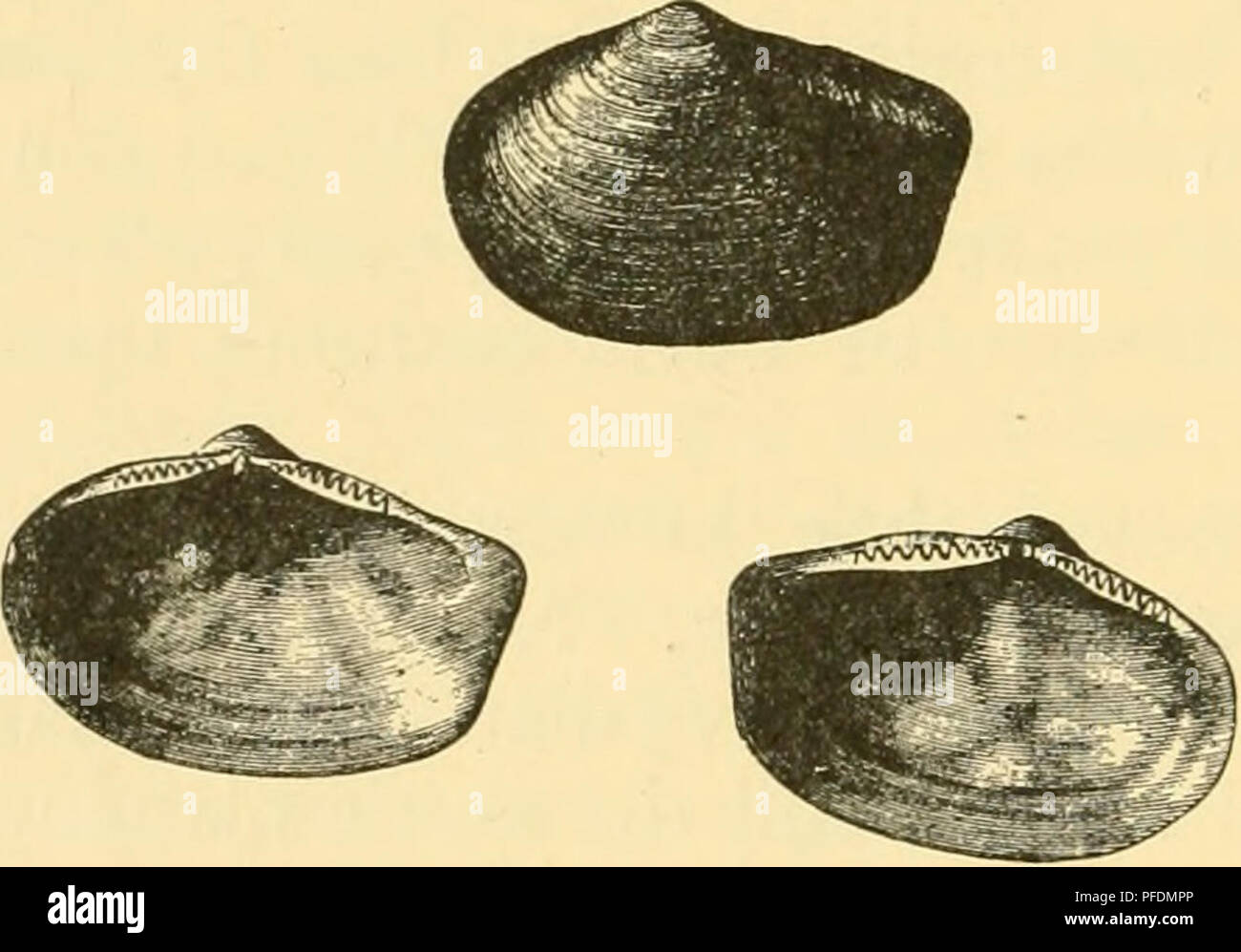 This entry provides an overview of oceanographic research in the North ...