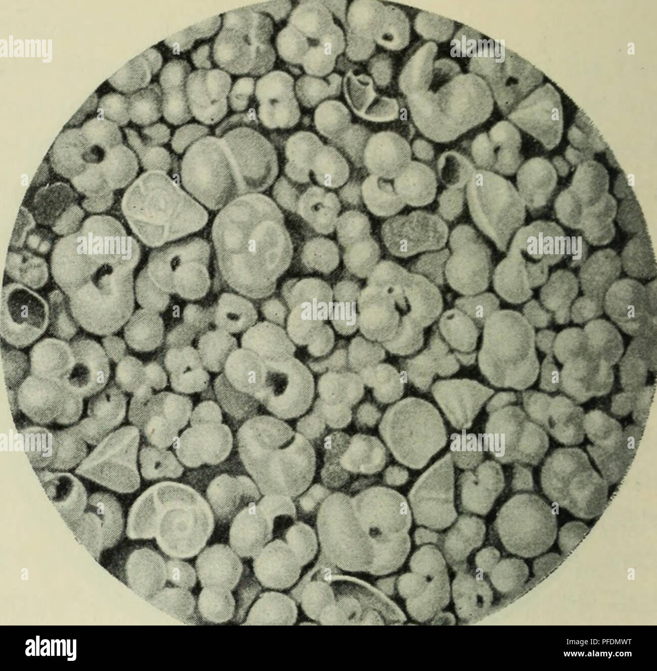 This text provides an overview of oceanographic studies, focusing on ...