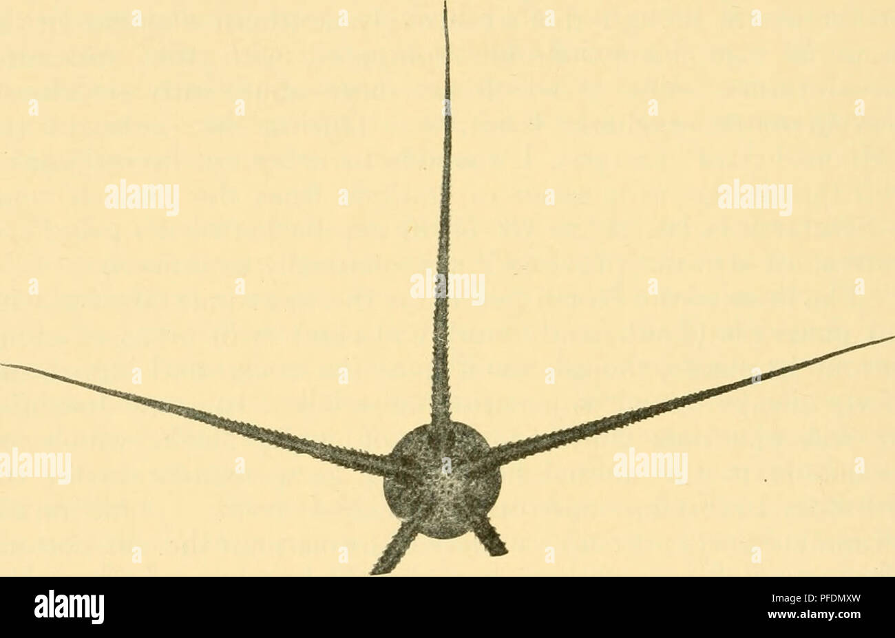 This account of oceanography explores the findings of the Norwegian ...