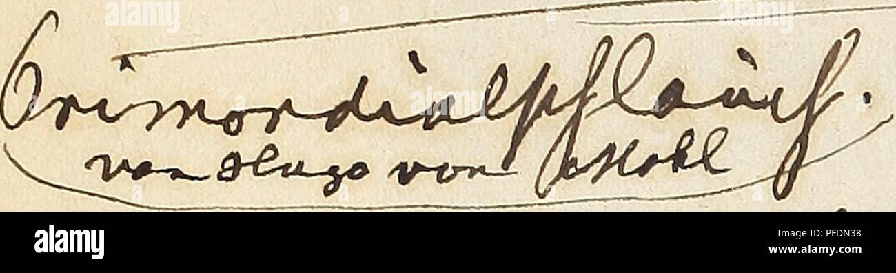 A study on trees and plant physiology, focusing on the biological ...