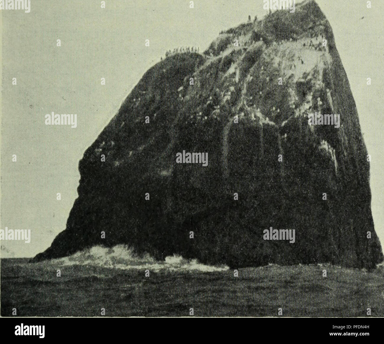 This account from the Norwegian steamer *Michael Sars* explores the ...