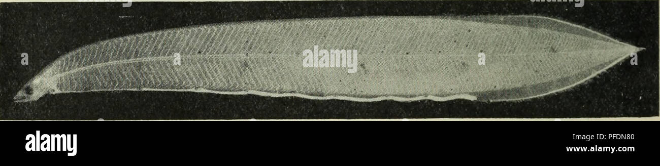 This work on oceanography focuses on the findings from the Norwegian ...