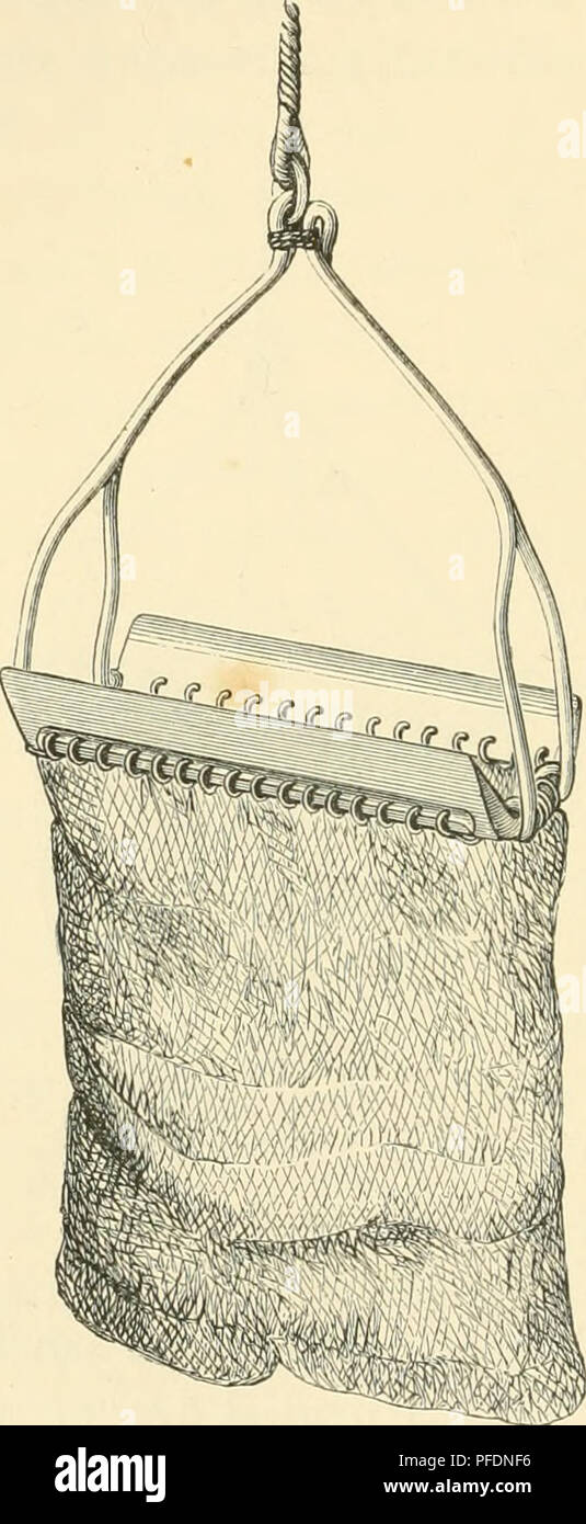 This account documents the results of the deep-sea dredging expeditions ...