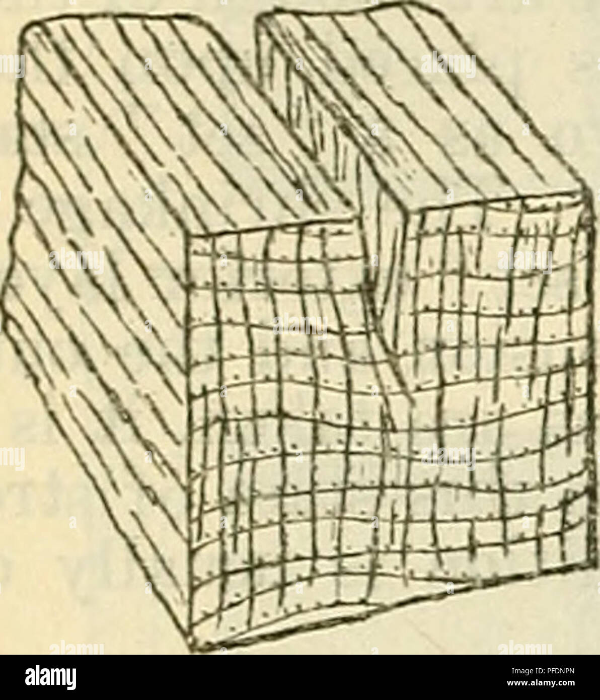 This U.S. Department of Agriculture bulletin discusses issues related ...