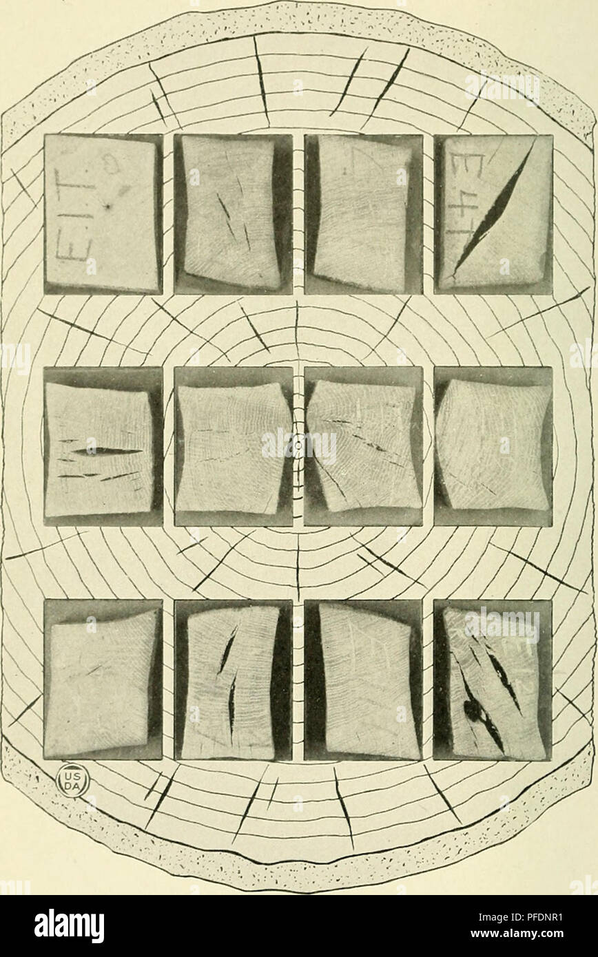 Honeycombing hi-res stock photography and images - Alamy