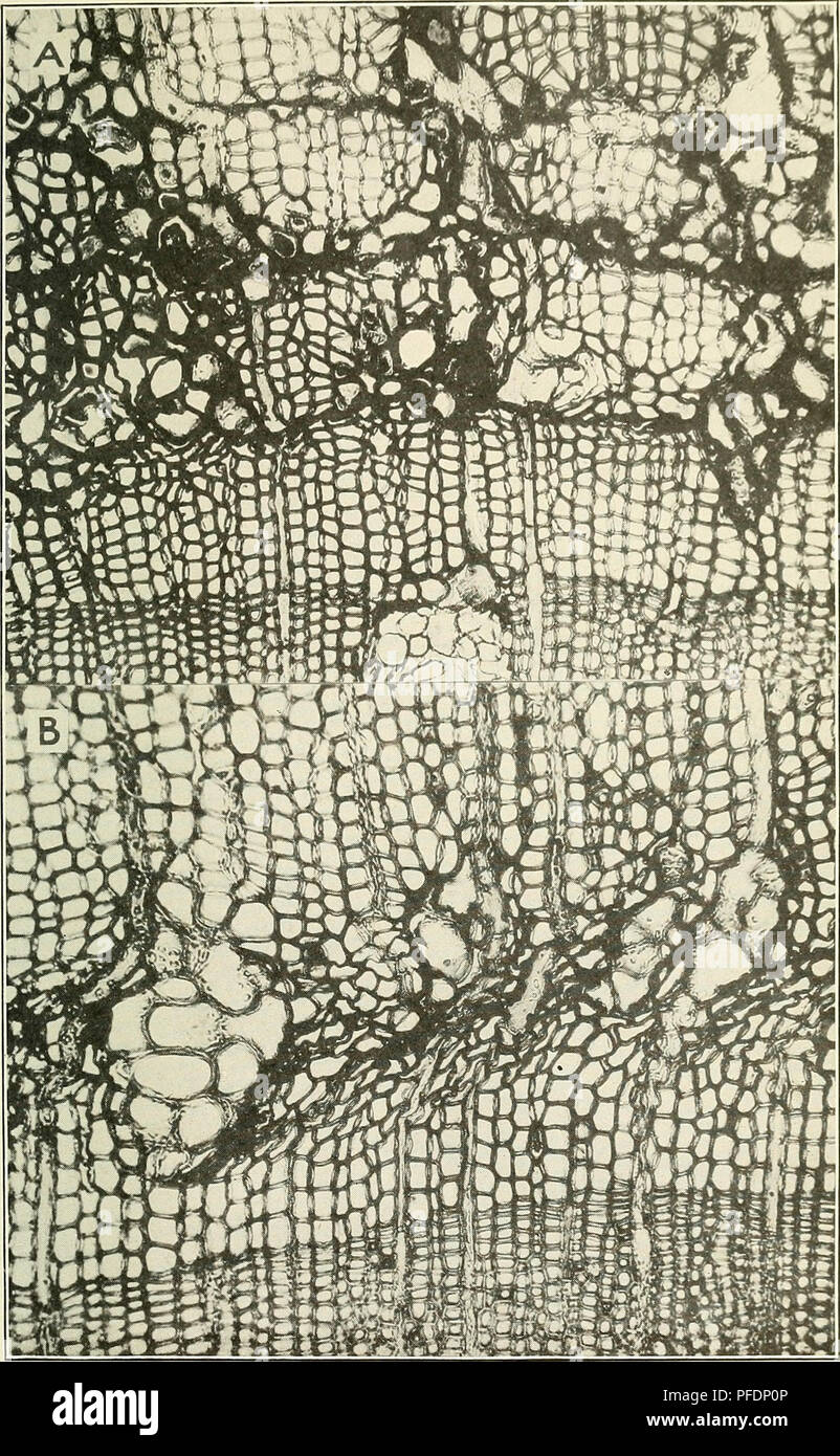 This bulletin from the U.S. Department of Agriculture illustrates frost ...