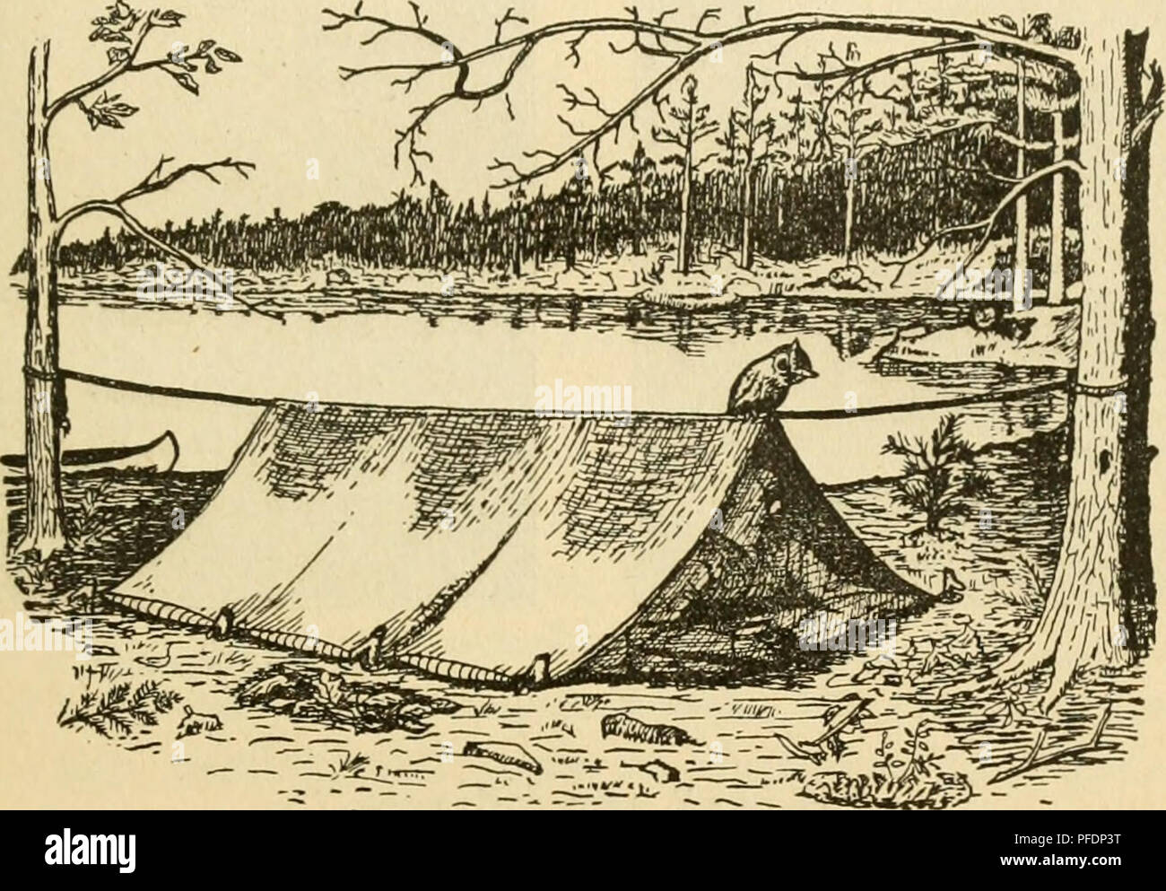 Mosquito wrap hi-res stock photography and images - Alamy