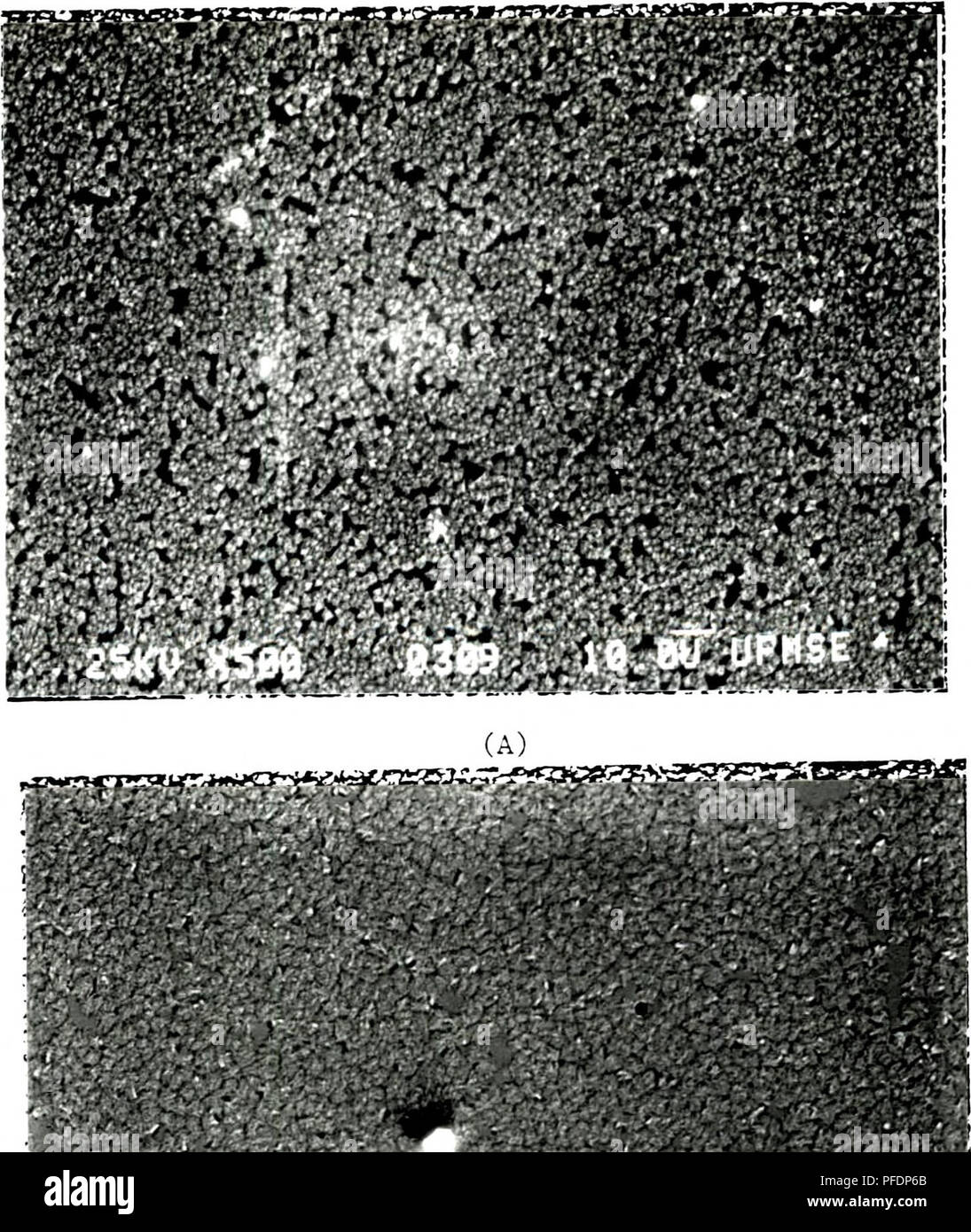 This study examines the deposition process, corrosion, and coloration ...