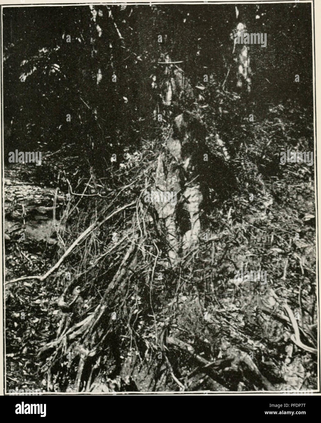 This report from the Bureau of Government Laboratories describes the ...