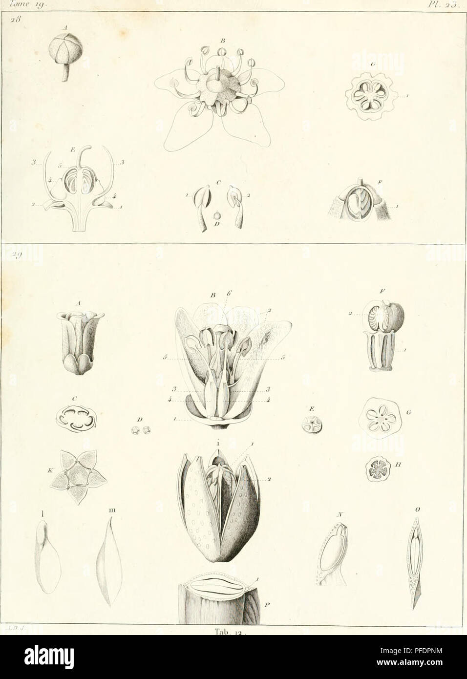 Provides scientific annotations hi-res stock photography and images - Alamy