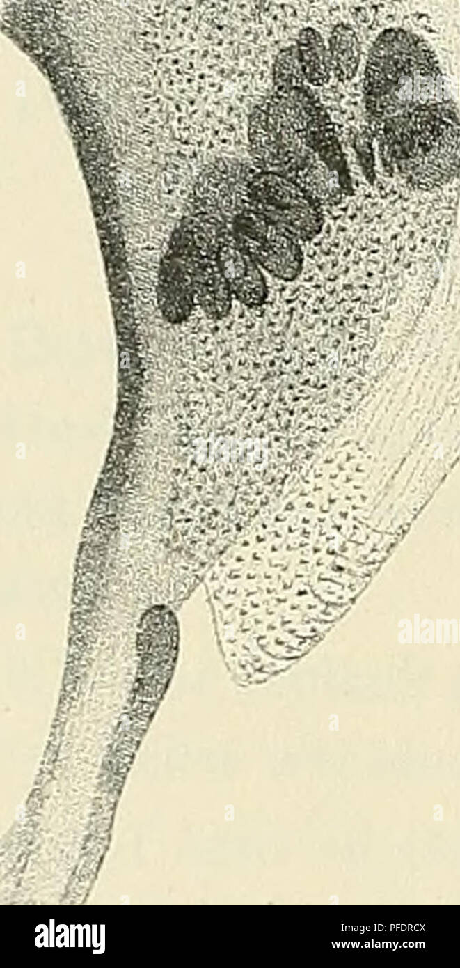 This study from the Austrian Academy of Sciences presents detailed ...